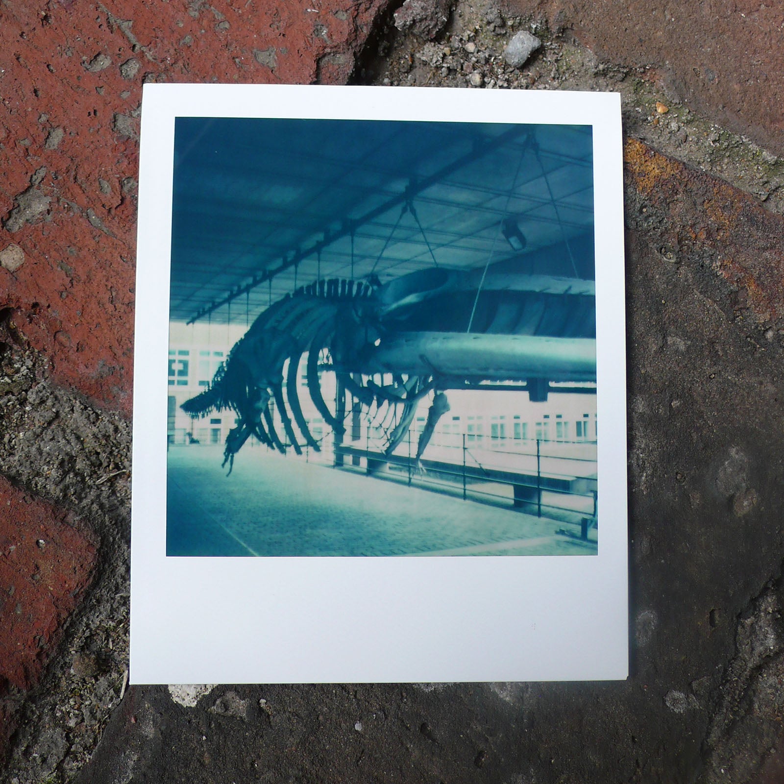 Polaroid Had Self-Destructing Pictures Long Before Snapchat | PetaPixel