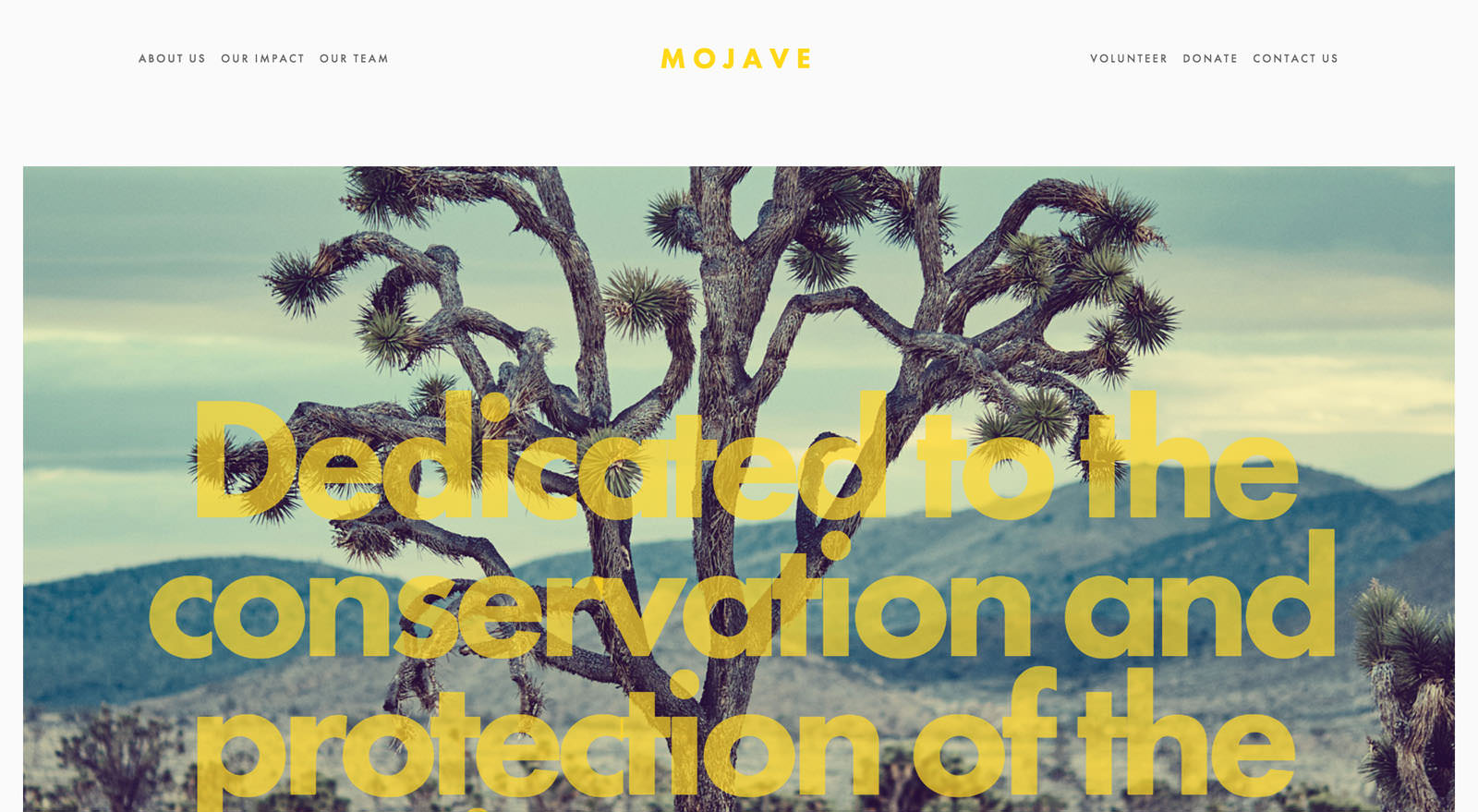 10 of the Most Beautiful Photography Templates: What Sets Them Apart ...