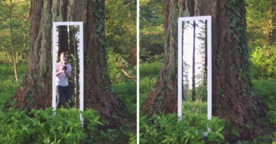 This Forest Mirror Illusion is Bending People's Minds | PetaPixel