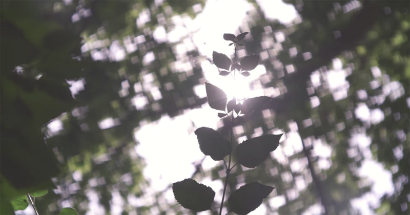 This Cheap, Weird Lens Produces Square Bokeh with Its Square Aperture ...
