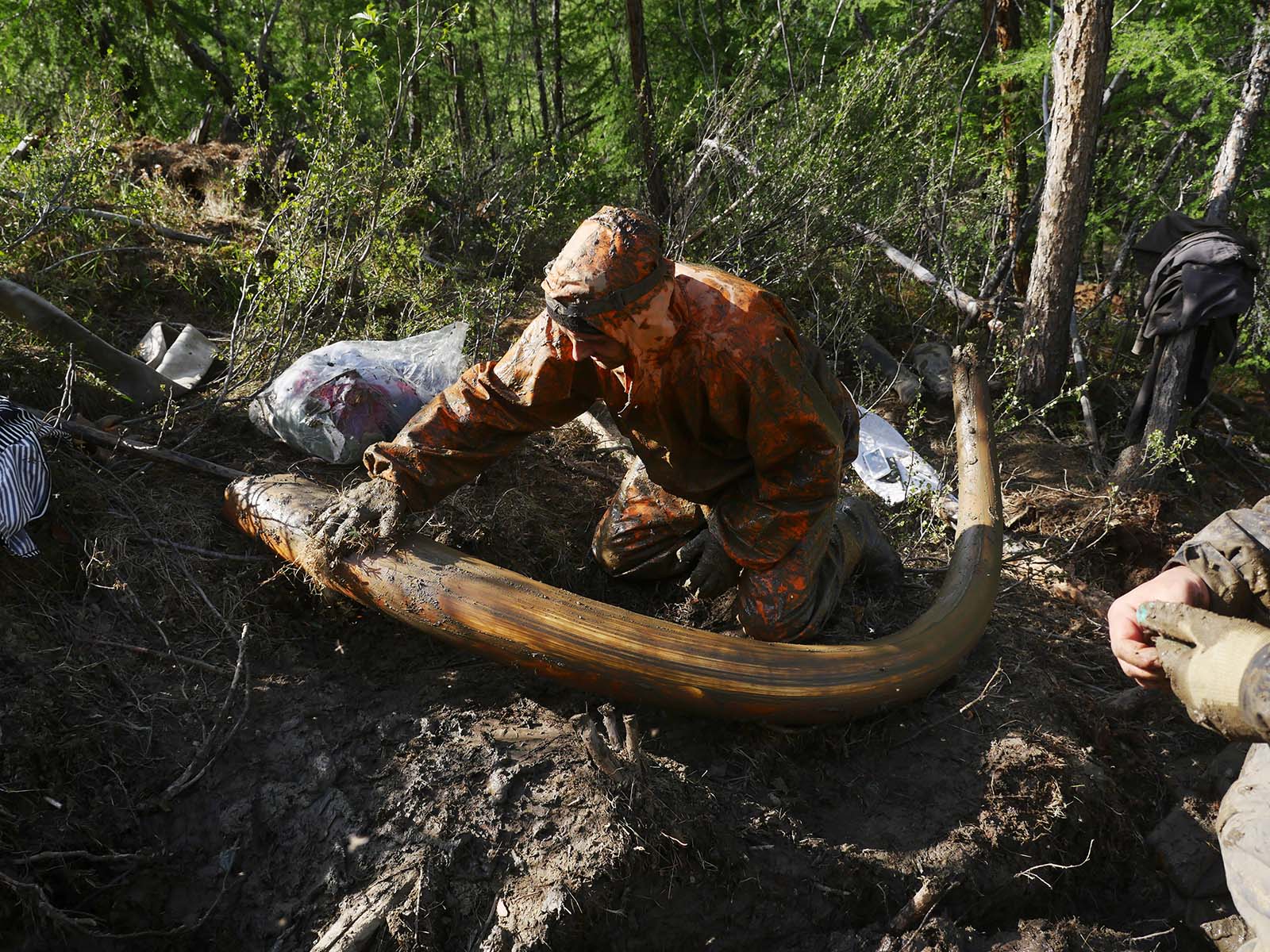 Photographing the Mammoth Ivory Tusk Hunt in Siberia | PetaPixel