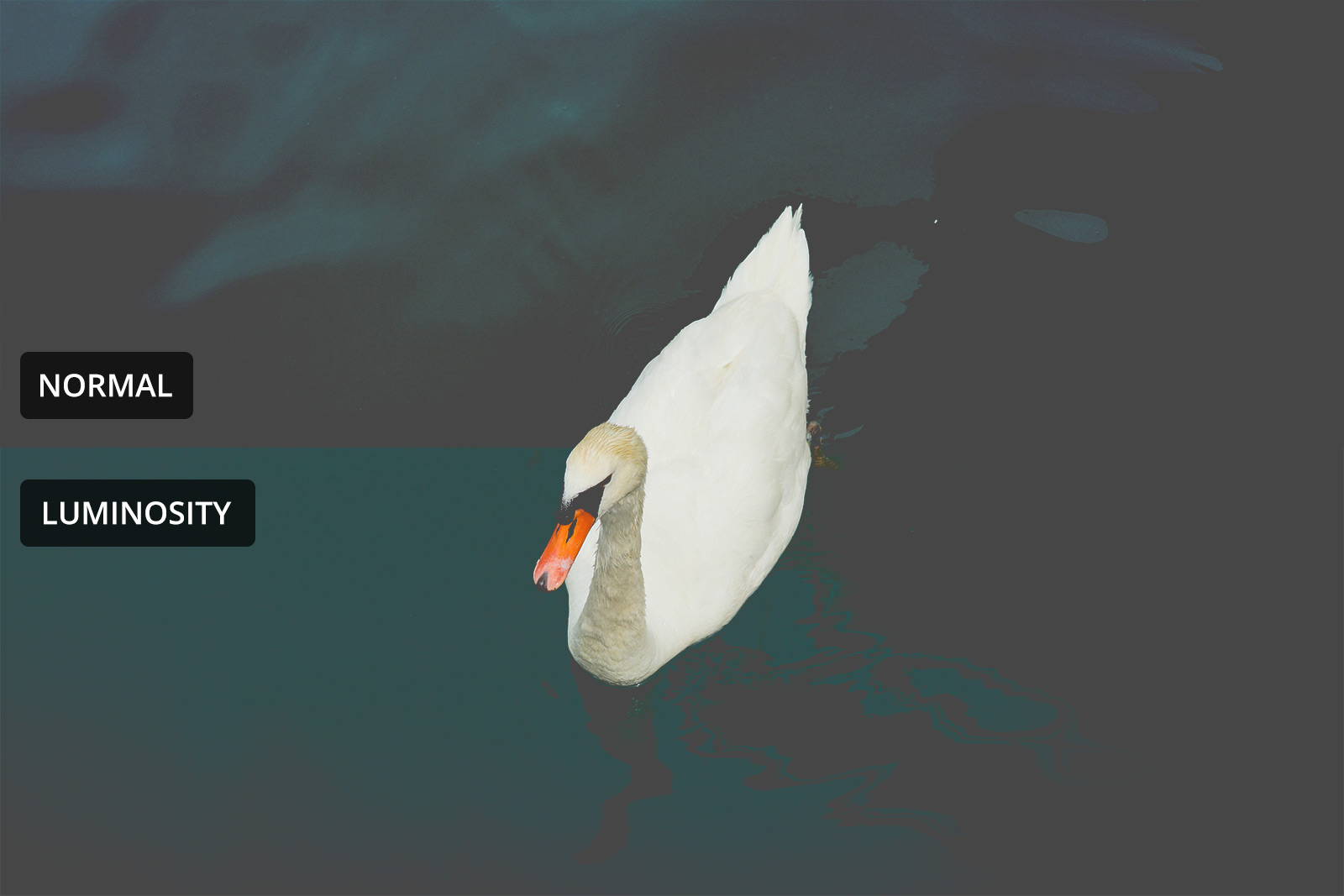 A Look At Photoshop’s Luminosity and Color Blend Modes | PetaPixel