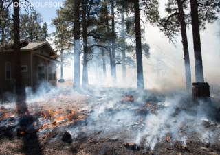 Why I Burned My Own Property and How I Photographed It | PetaPixel