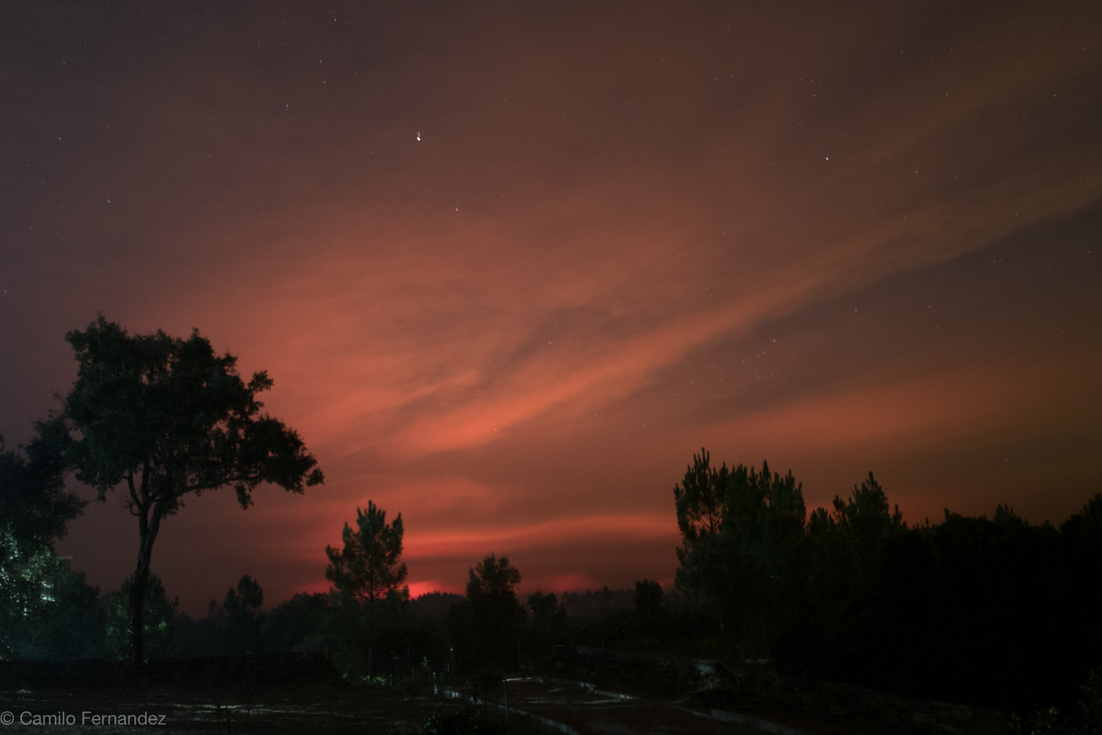 Photo Essay: The Wildfires Leaving Portugal in Ashes