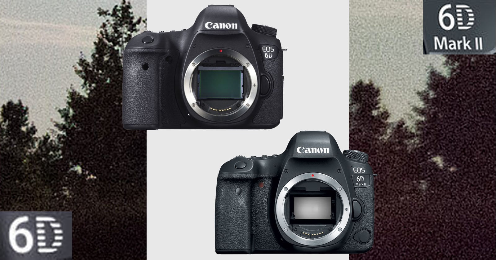 Canon 6D Vs 6D II Here s A High ISO Noise Comparison PetaPixel