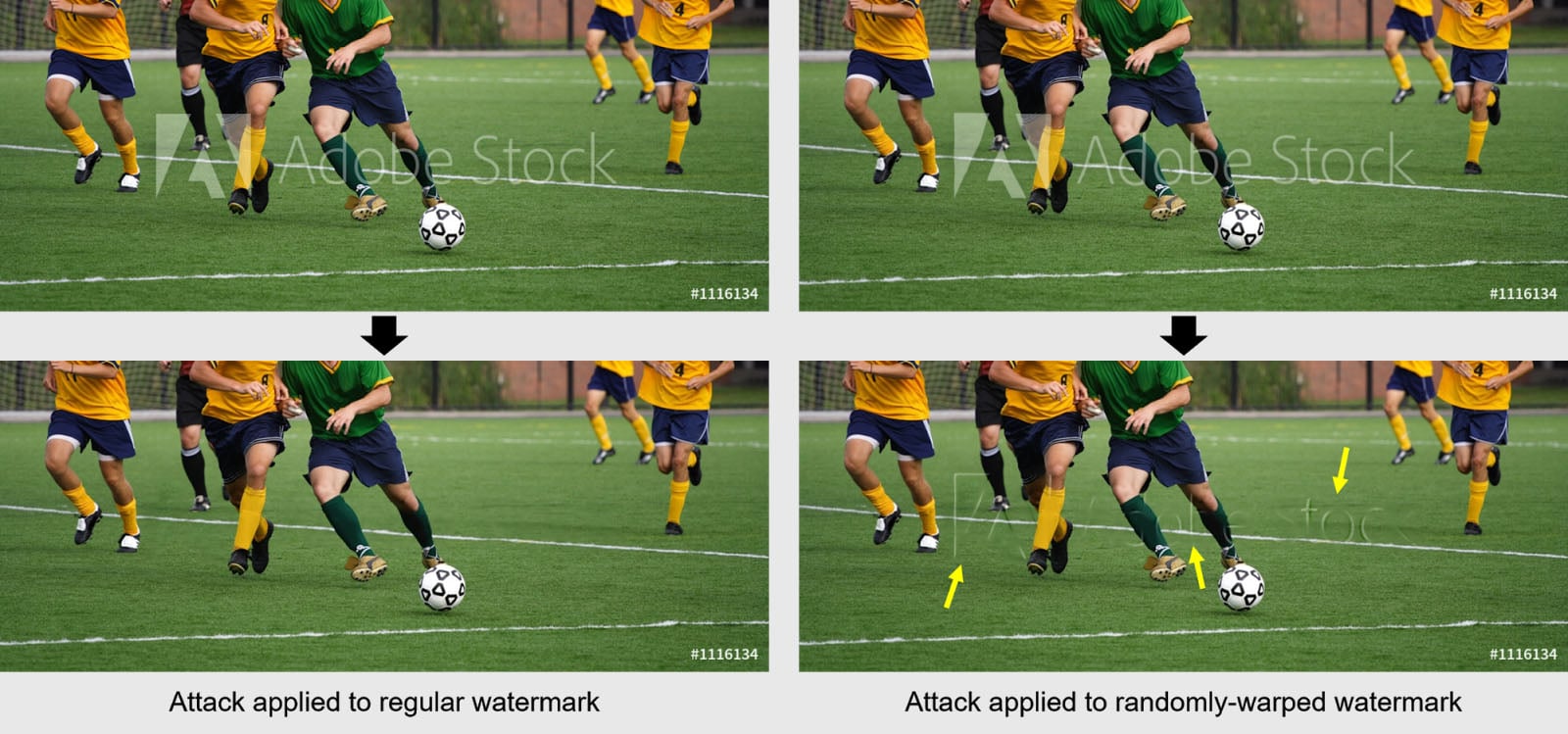 AI Can Easily Erase Photo Watermarks: Here's How to Protect Yours ...