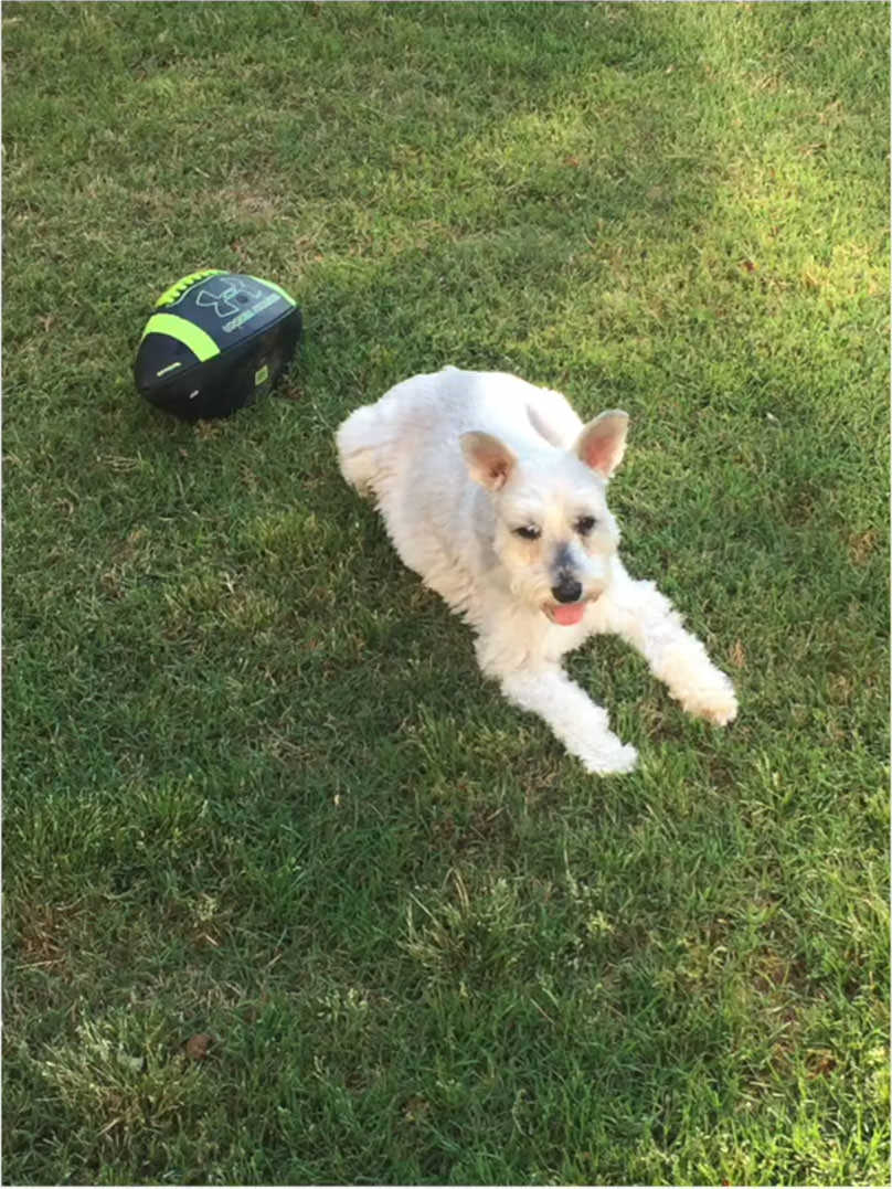 4 Common Photo Composition Errors and How to Fix Them | PetaPixel