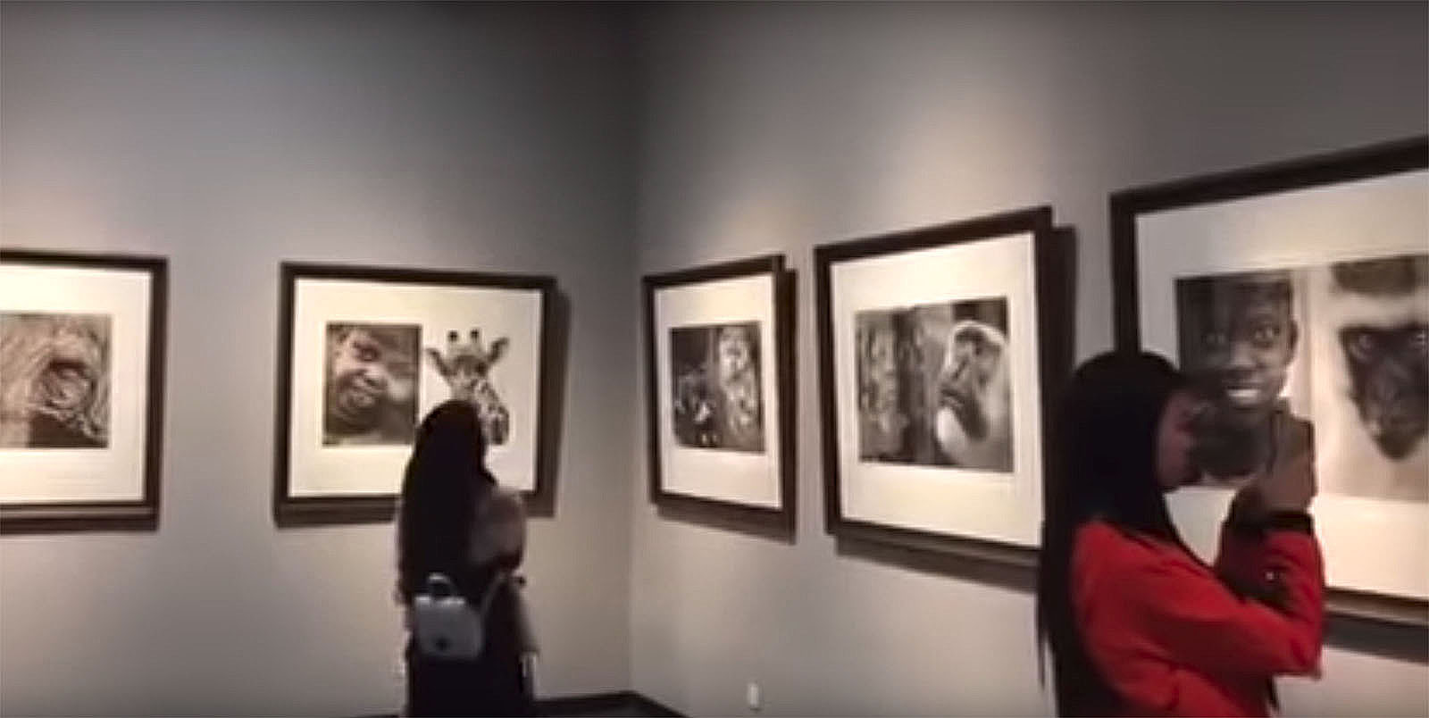 Chinese Museum Pulls Photo Exhibit Comparing Black People to Animals ...