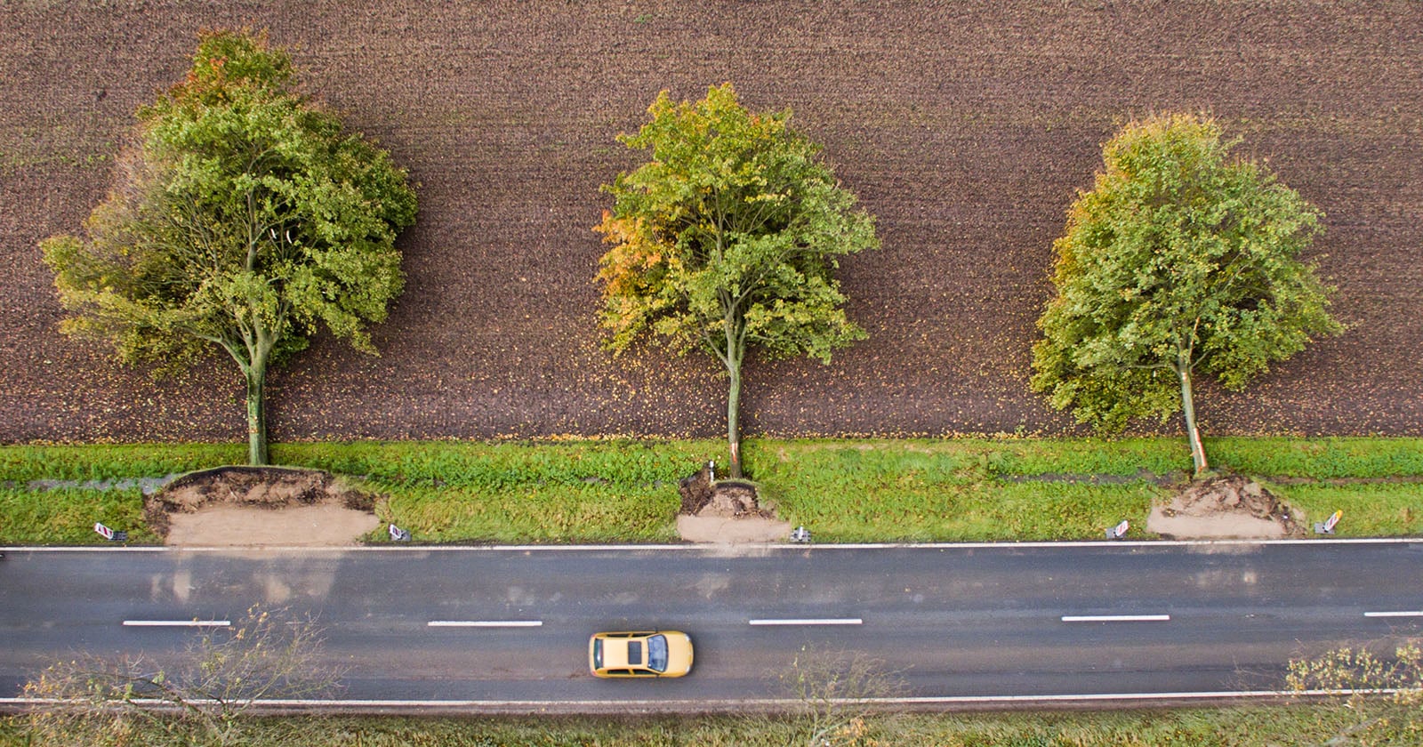 A Drone Photo of Trees Knocked Down After a Storm | PetaPixel