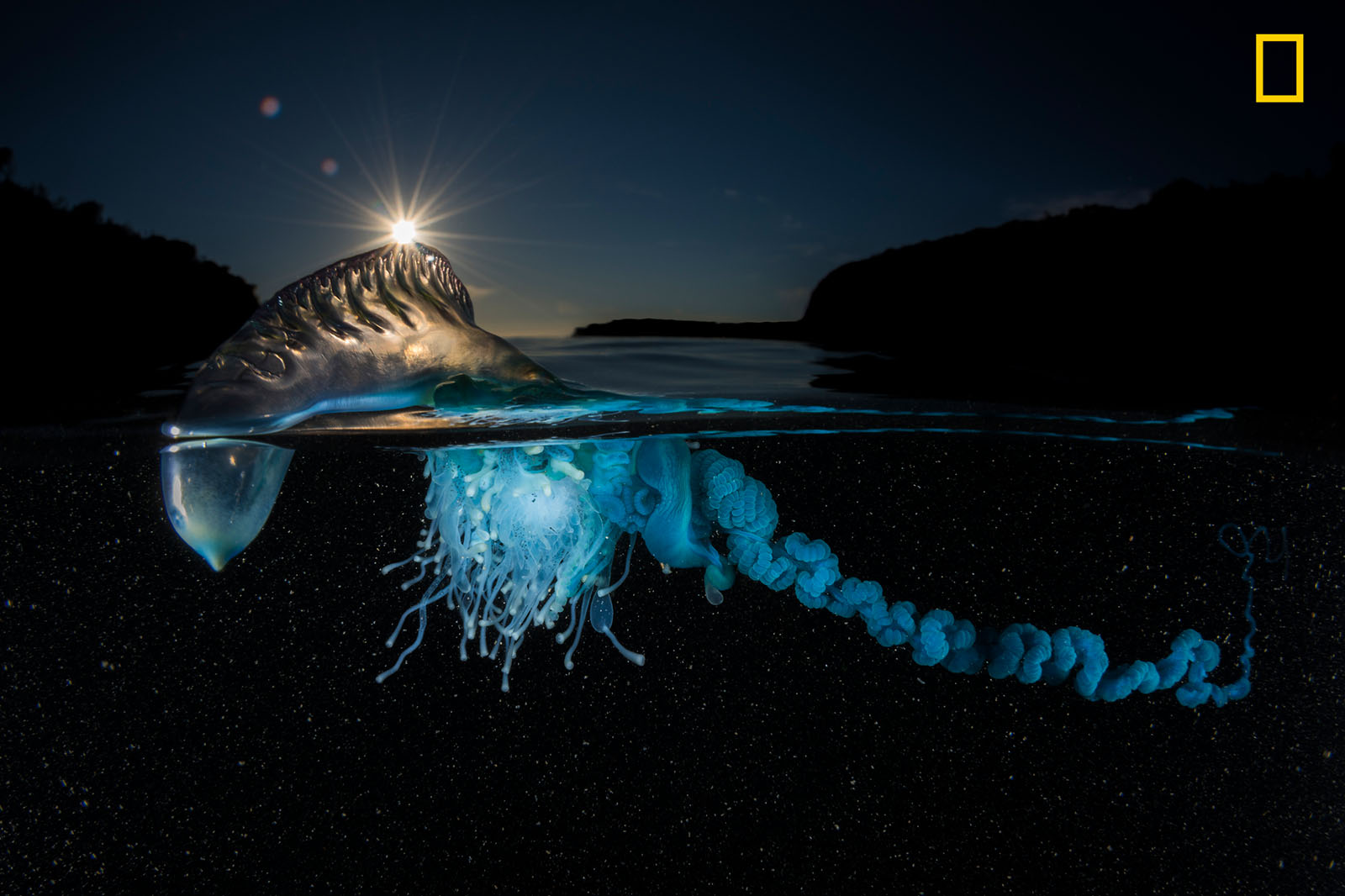 The Winning Photos of Nat Geo Nature Photographer of the Year 2017 ...