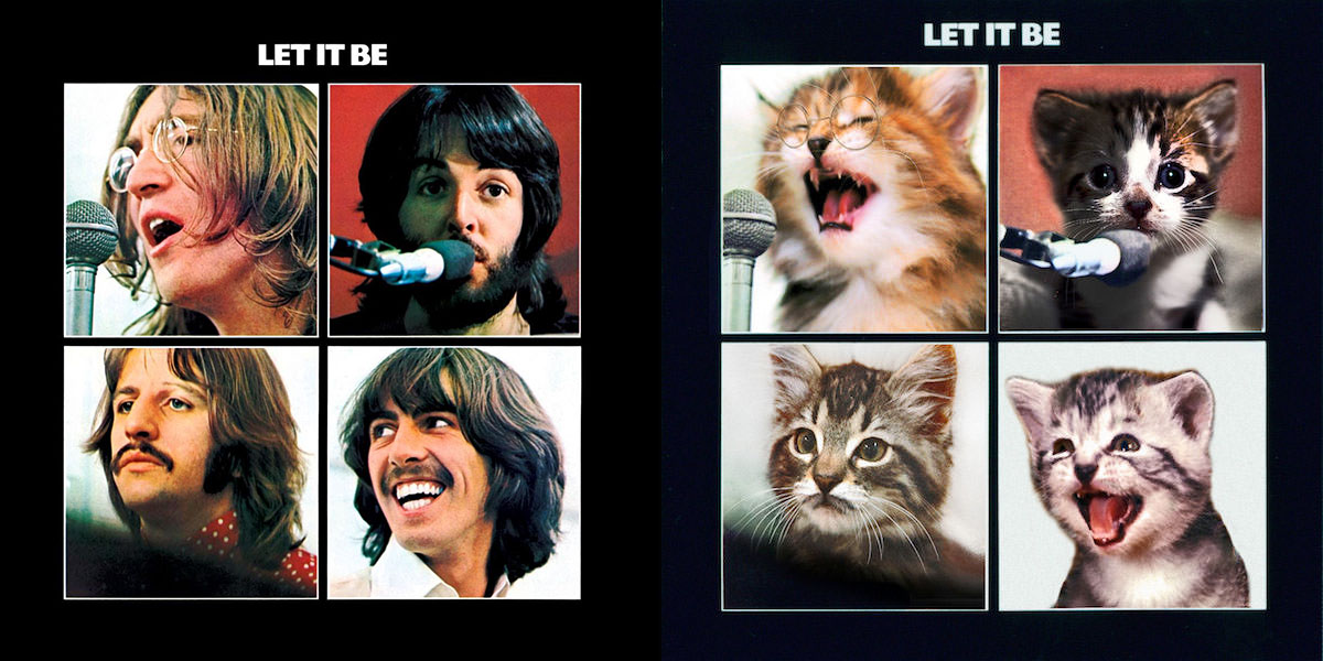 Famous Album Covers Recreated as Cat Photos | PetaPixel