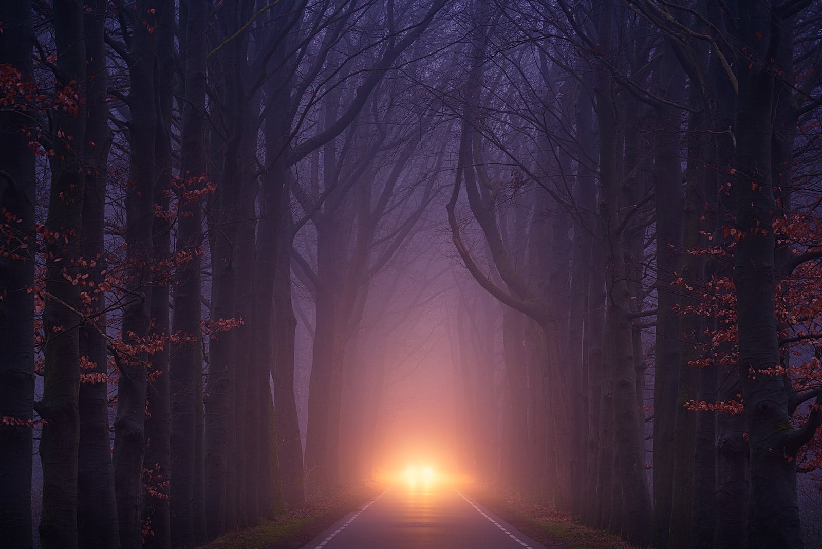 I Shot 7 Photos of the Same Location in Different Seasons | PetaPixel