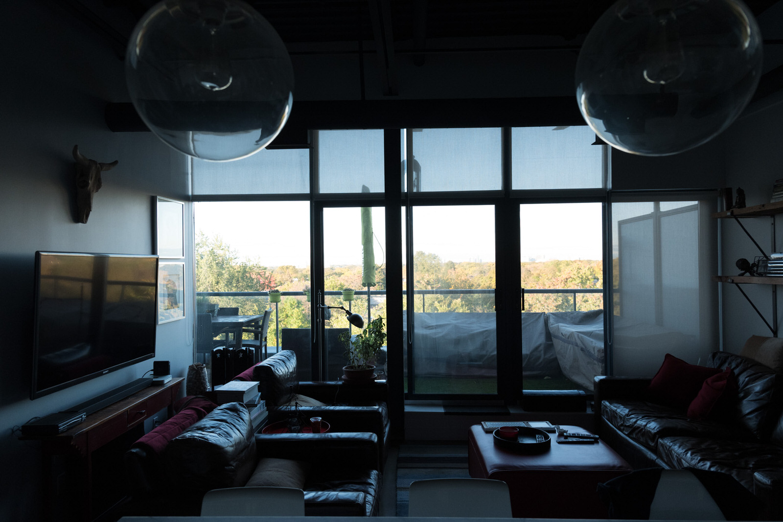 20 Square Meters: A Summer of Photos on My Patio as a Creativity ...