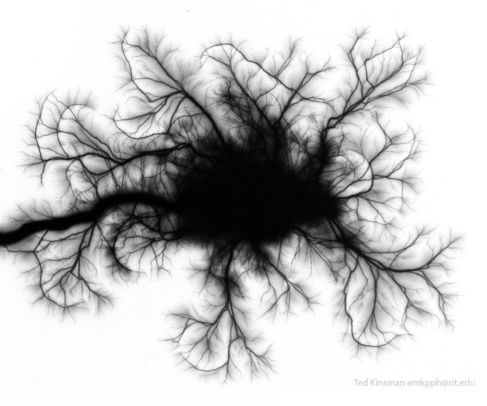 Zapping Film with Electricity: How to Make Spark Patterns in Photos ...