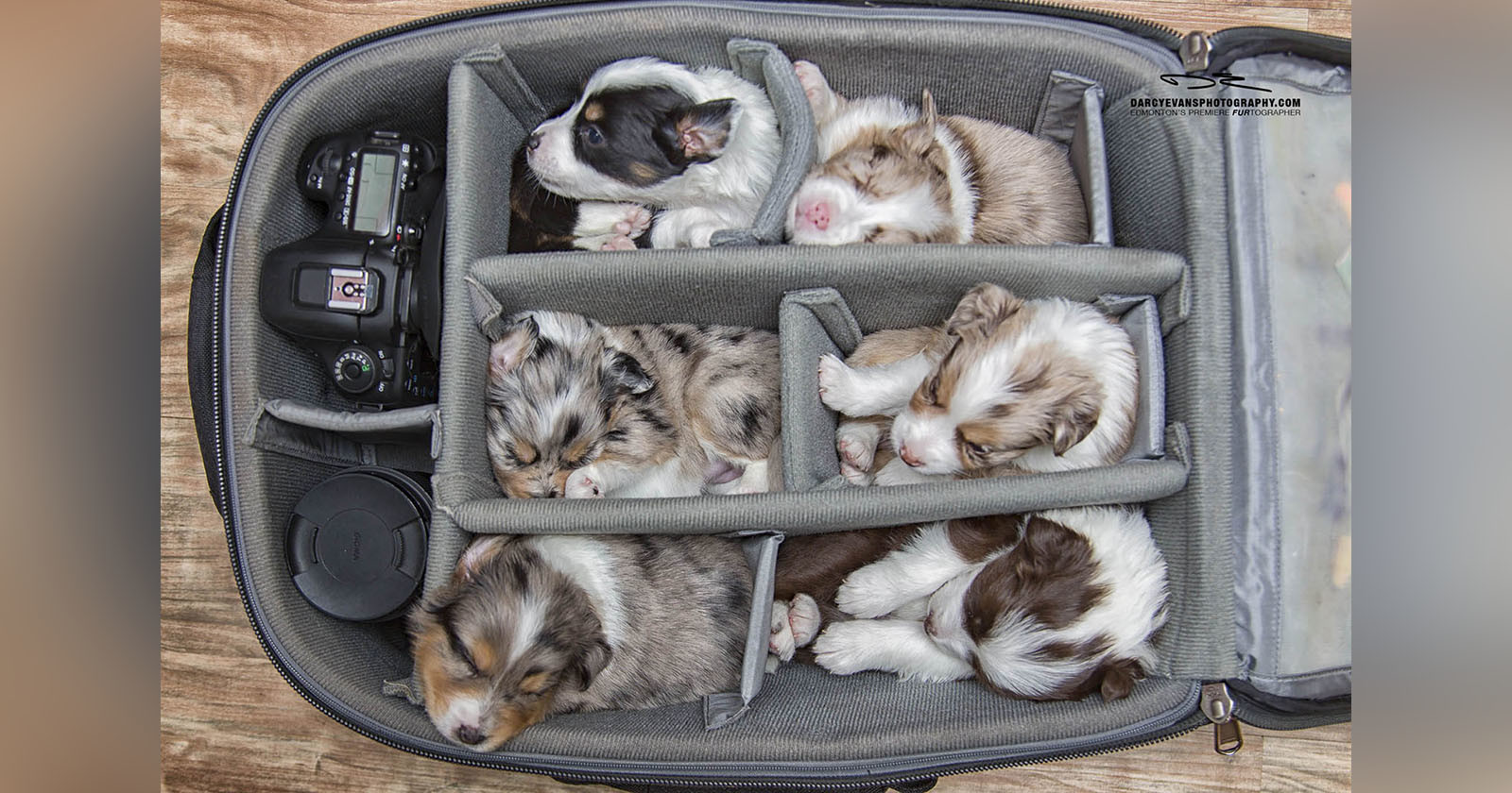 PetaPixel | Page 553 of 1307 | Photography and Camera News, Reviews, and Inspiration