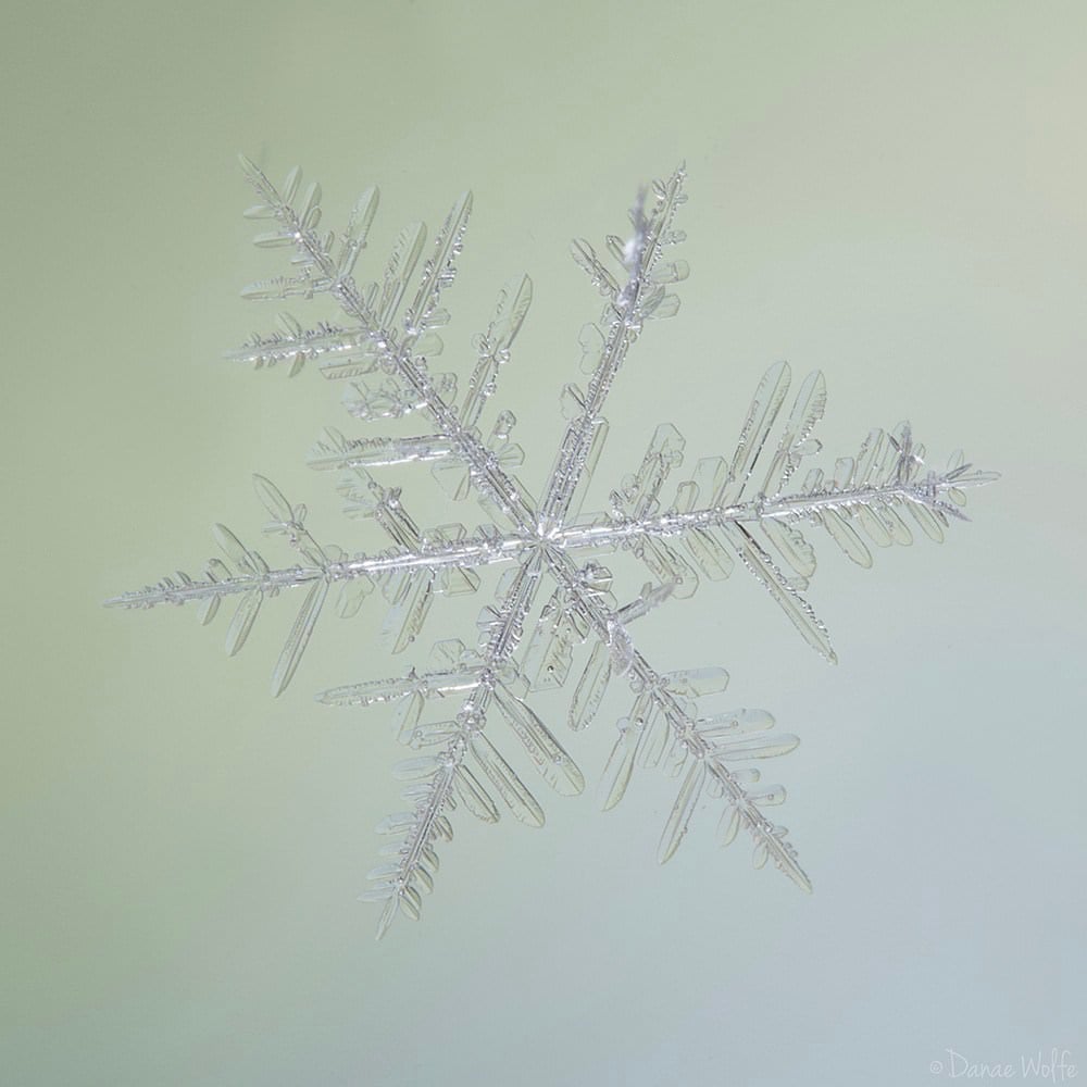 How to Shoot Macro Snowflake Photos at Home | PetaPixel