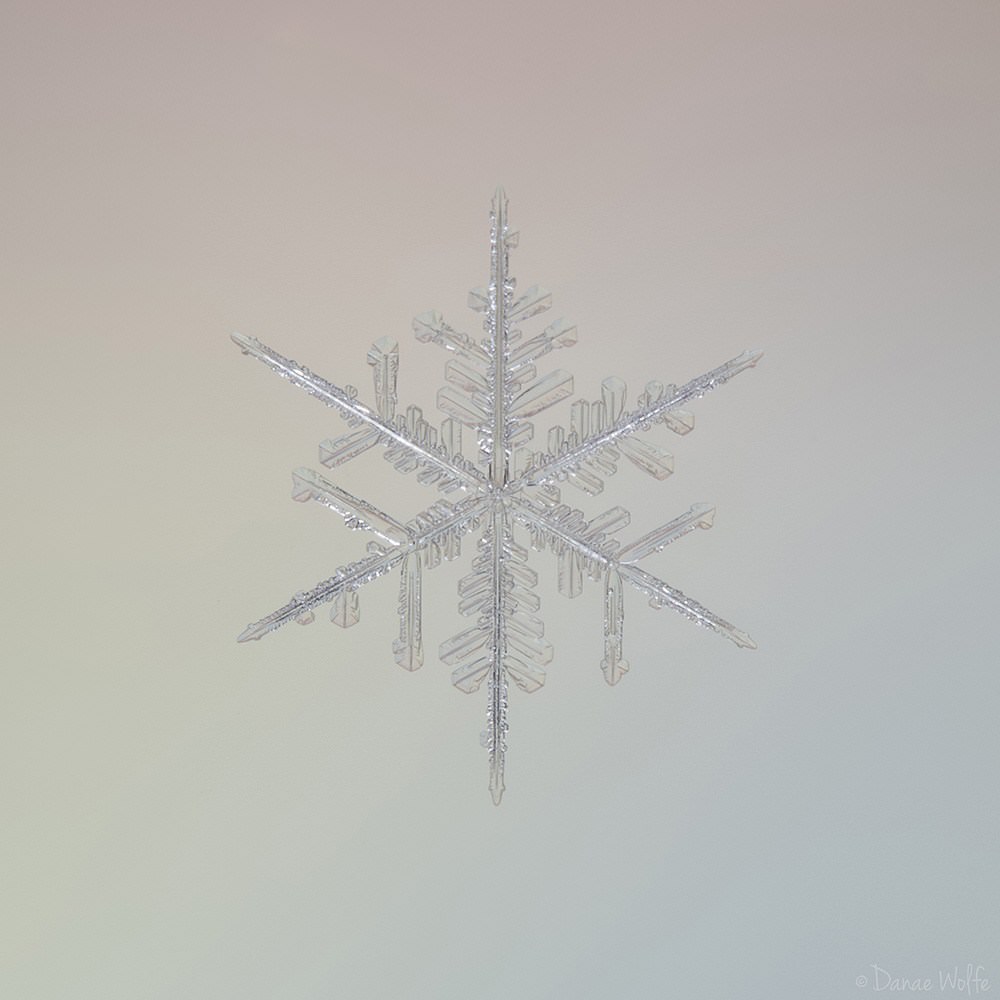 How to Shoot Macro Snowflake Photos at Home | PetaPixel