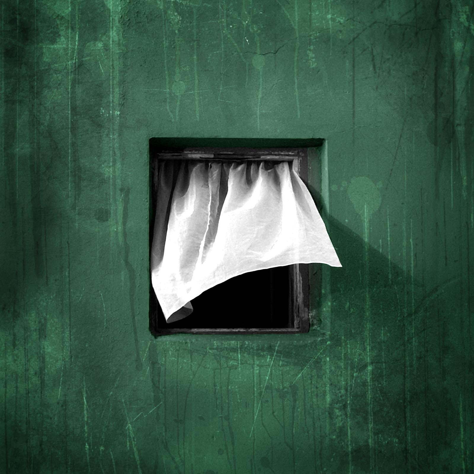 This Photographer Spent 12 Years Shooting the Same Window | PetaPixel