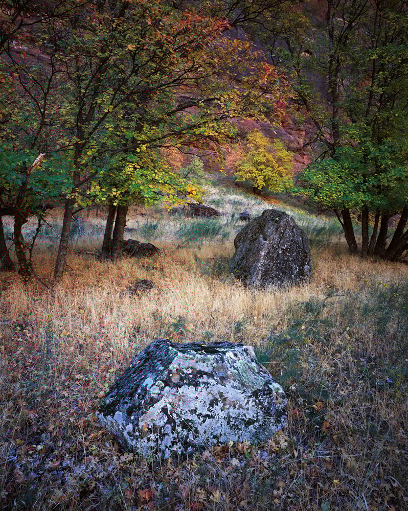 Pixel-Peeping a 709-Megapixel Photo Scanned from 8x10 Slide Film ...