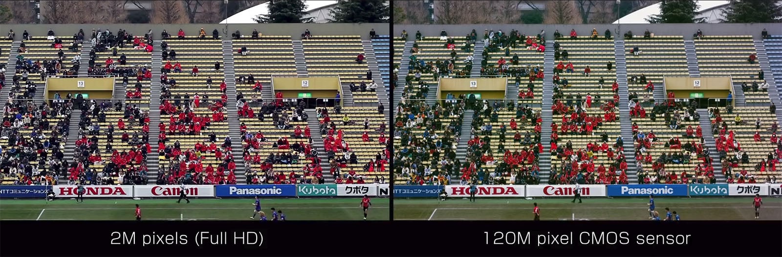This is the Power of Canon's 120MP Camera Sensor | PetaPixel
