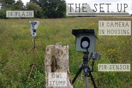 Shooting Infrared Photos of Barn Owls at Night | PetaPixel