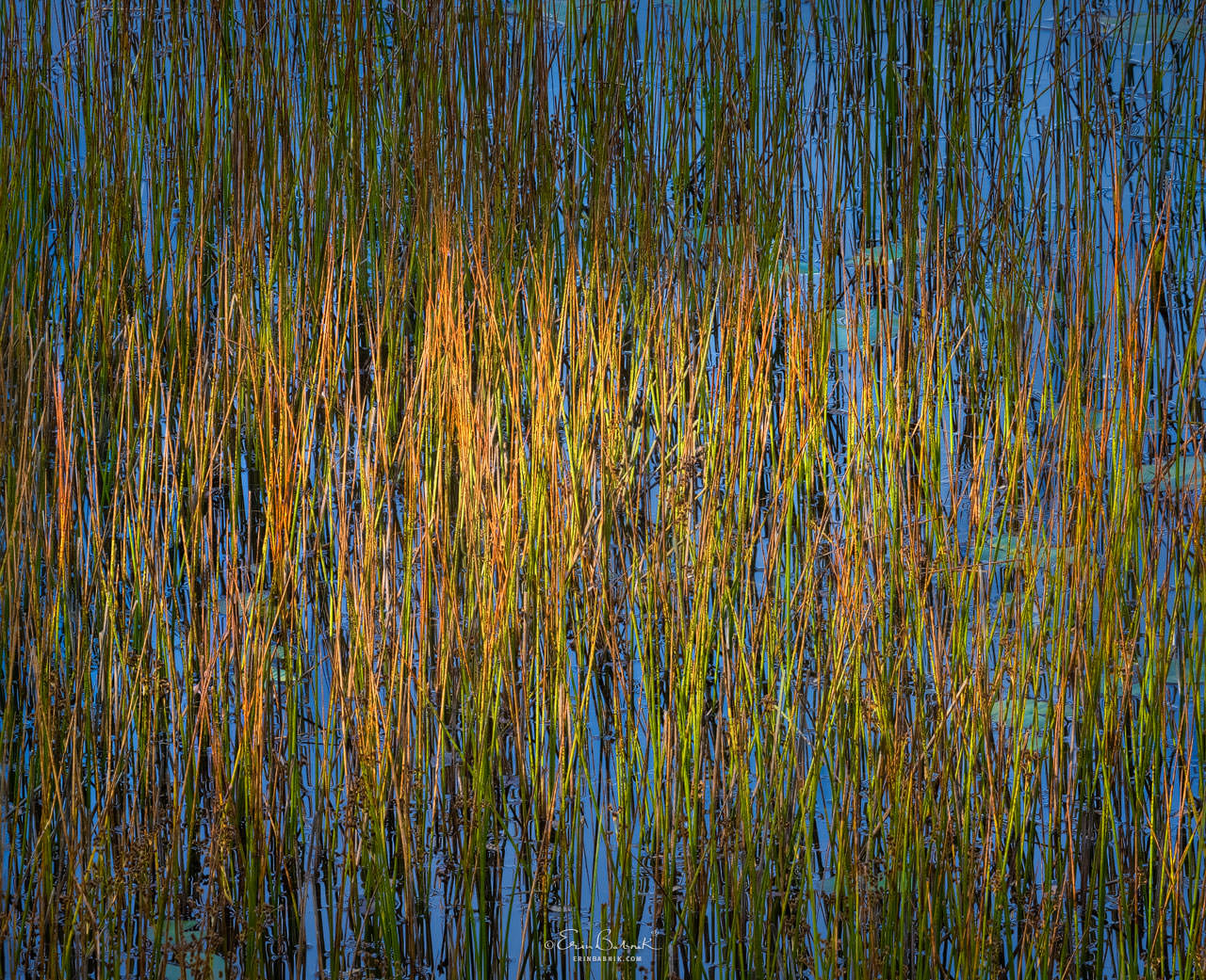 Creative Applications of Color Theory in Landscape Photography | PetaPixel