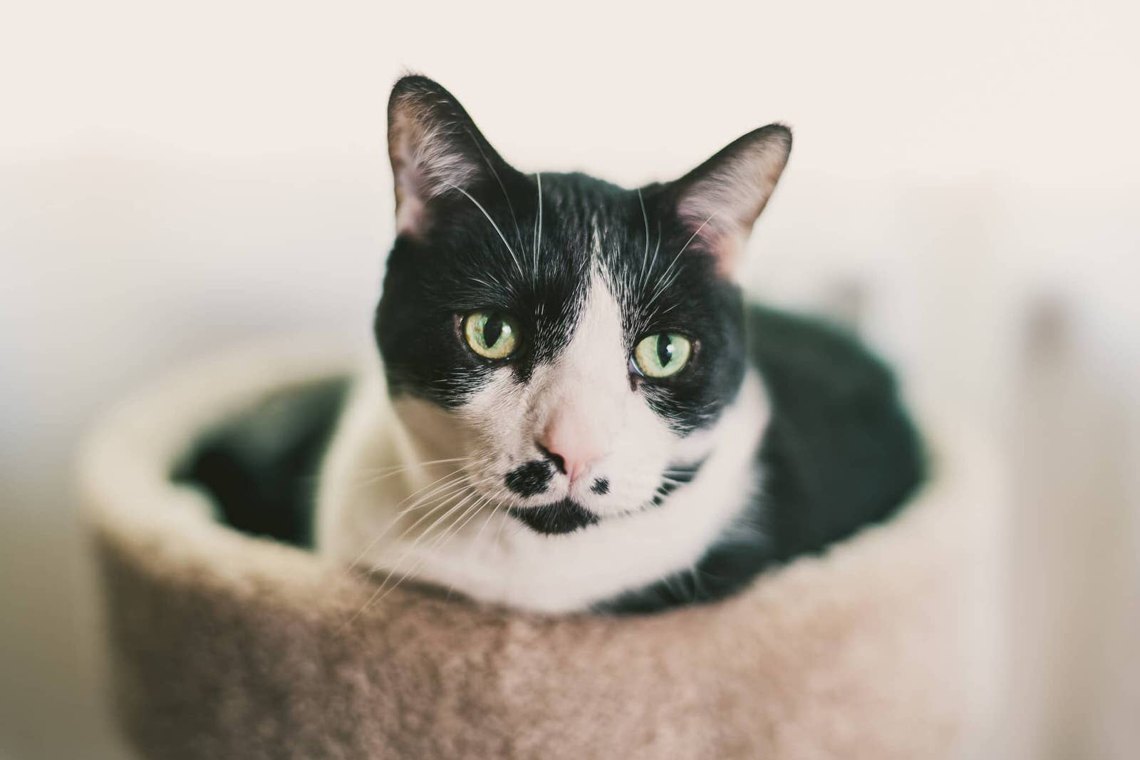 Playing 3rd Wheel to a Camera: 6 Tips for Partners of Photographers ...