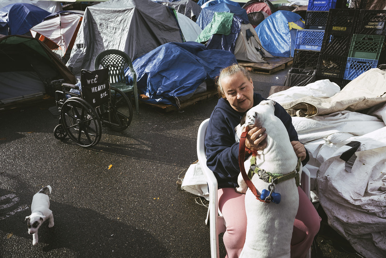 Unconditional Love: Portraits of People and Pets in a Seattle Homeless ...