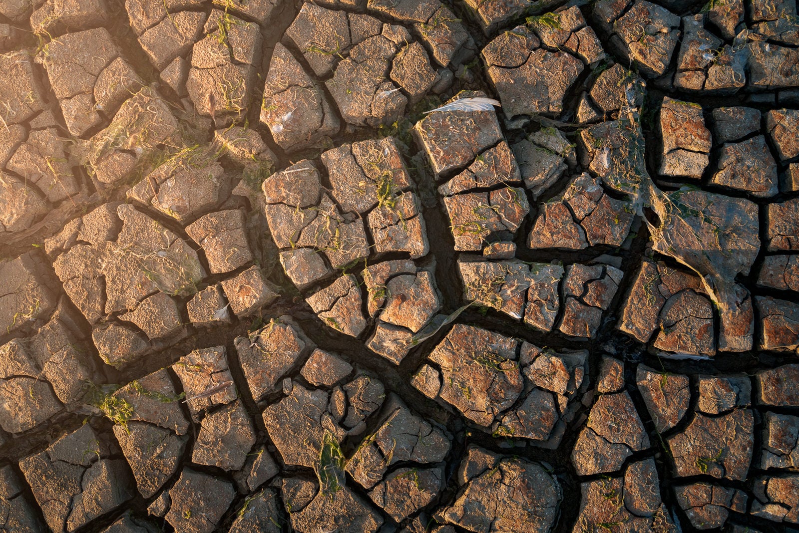 10 Photos That Show the Extreme Drought on the Dutch Coastlines | PetaPixel