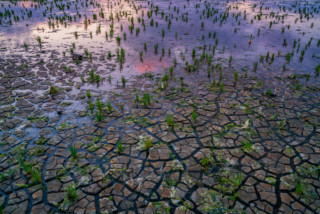 10 Photos That Show the Extreme Drought on the Dutch Coastlines | PetaPixel