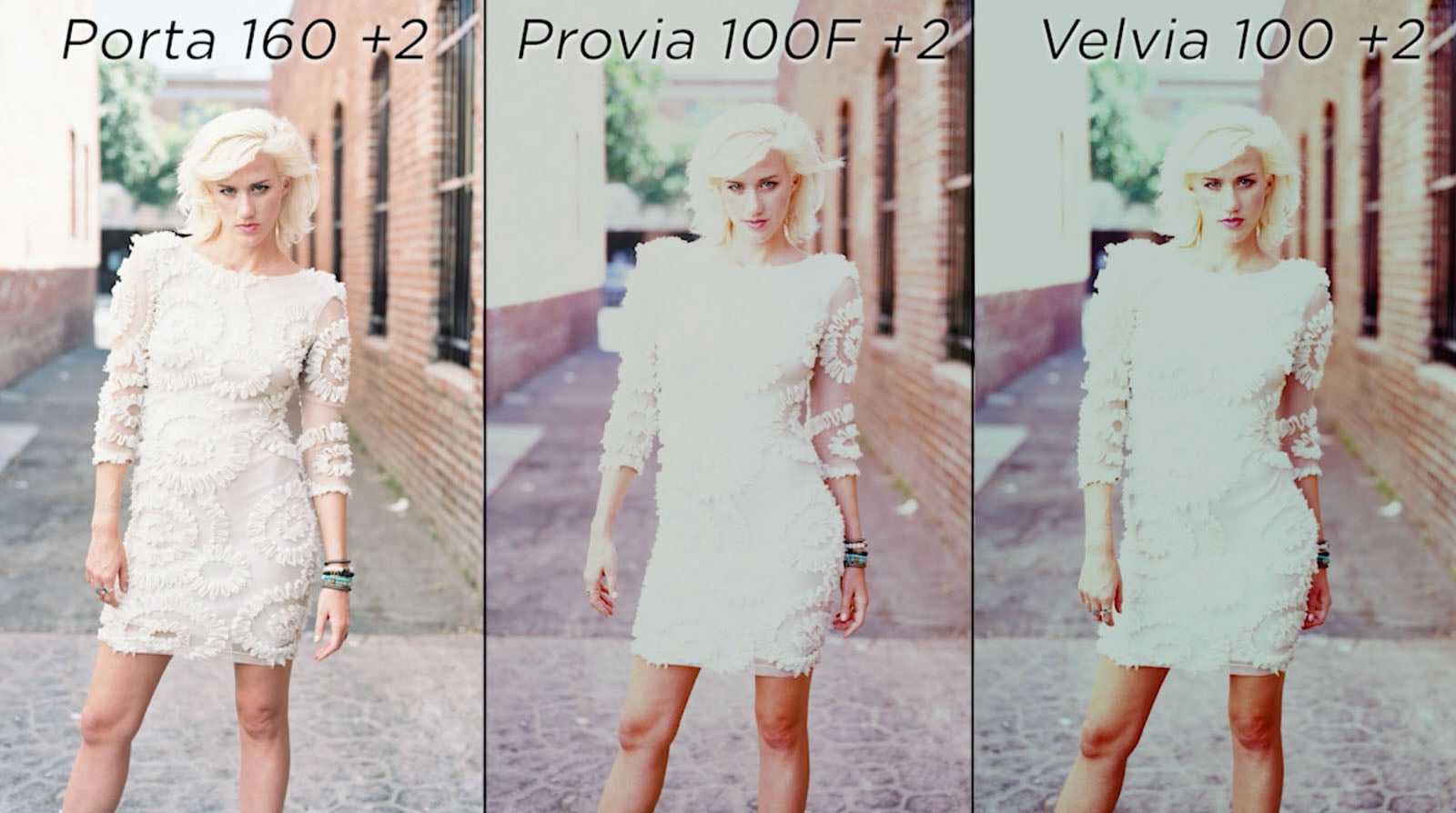 Slide vs Color Negative Film: How They Compare and When to Use Each ...