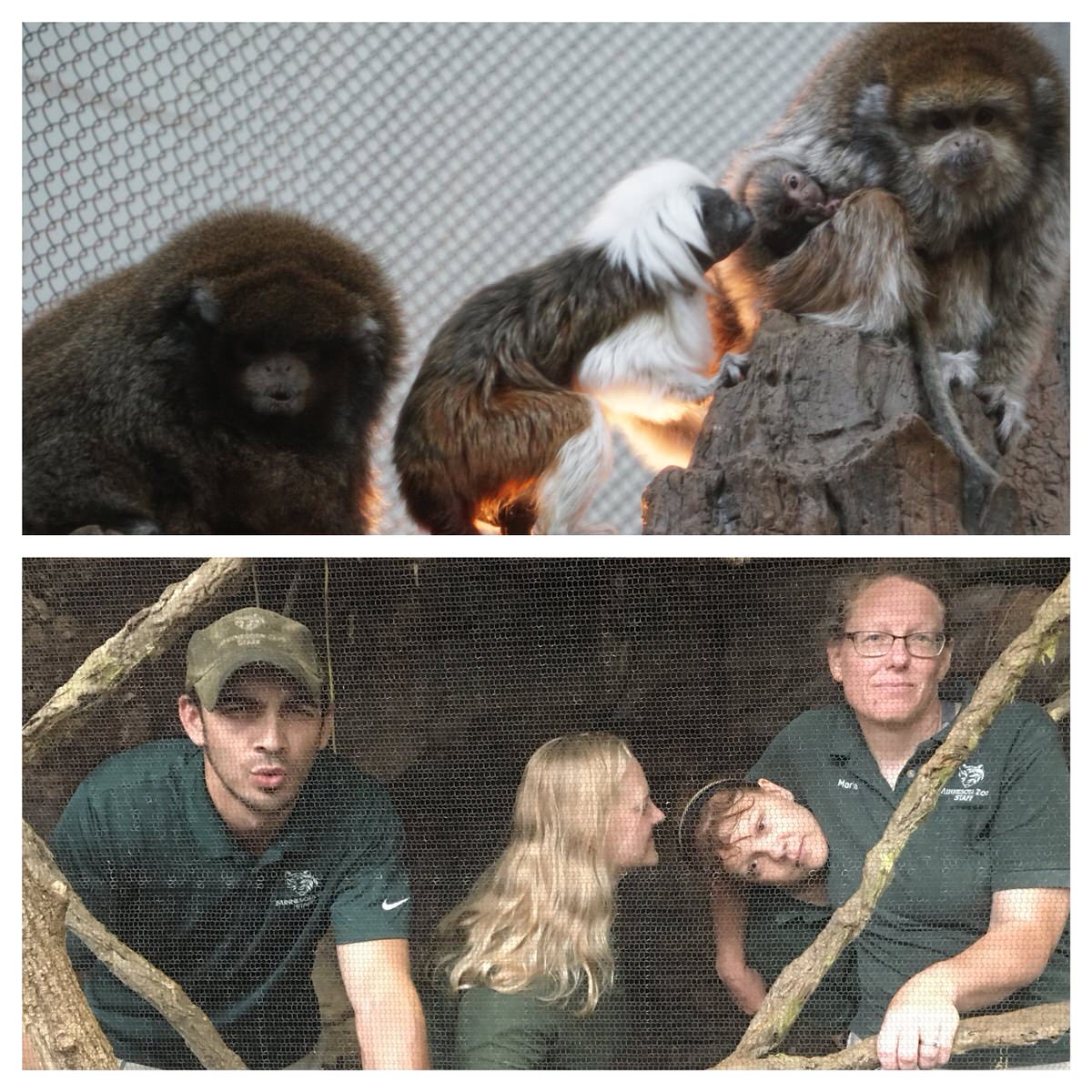 Photos of Zookeepers as the Animals They Care For | PetaPixel