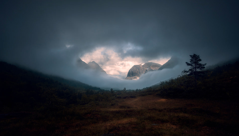 7 Actionable Steps to Capturing Photos That Grab Attention | PetaPixel