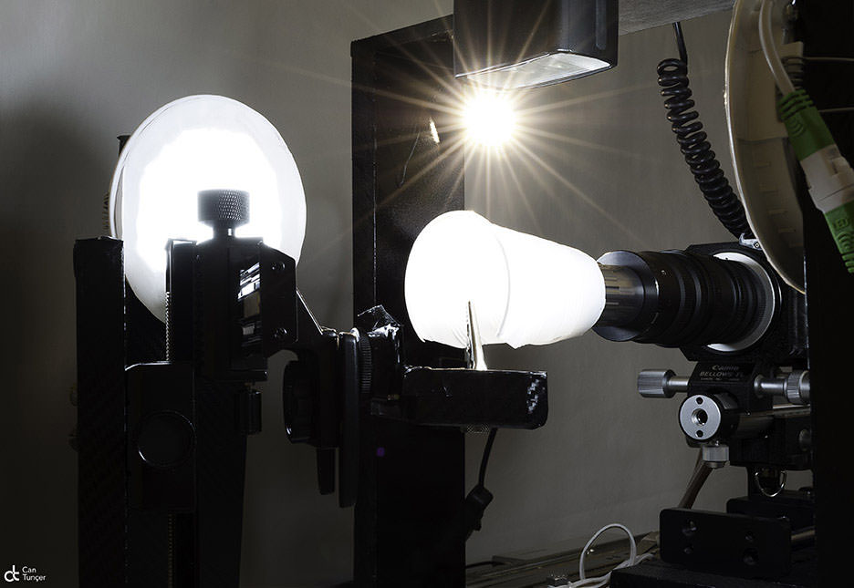These Backlit, Macro Photos of Leaves Look Like Lava Landscapes | PetaPixel