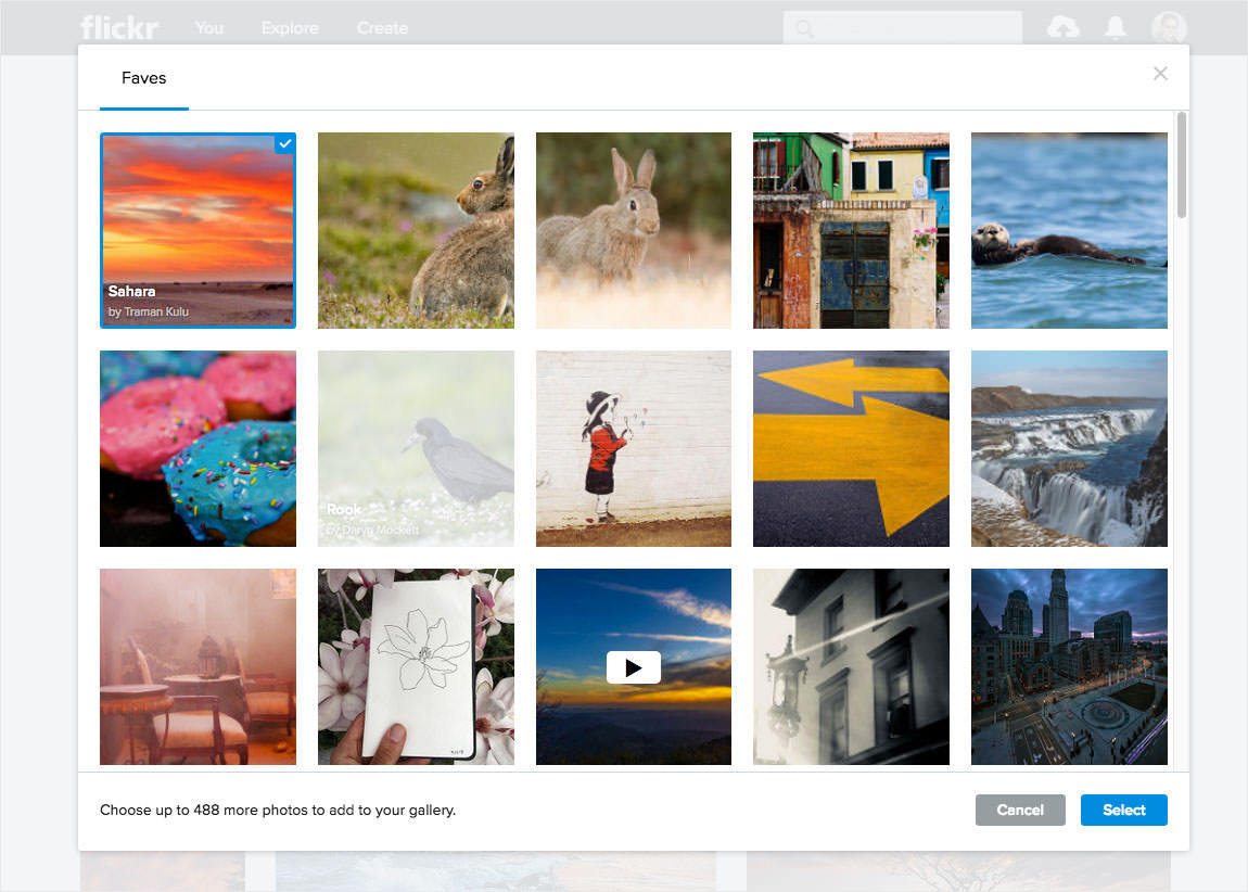 Flickr Revamps Galleries with a Fresh Look and New Tools | PetaPixel
