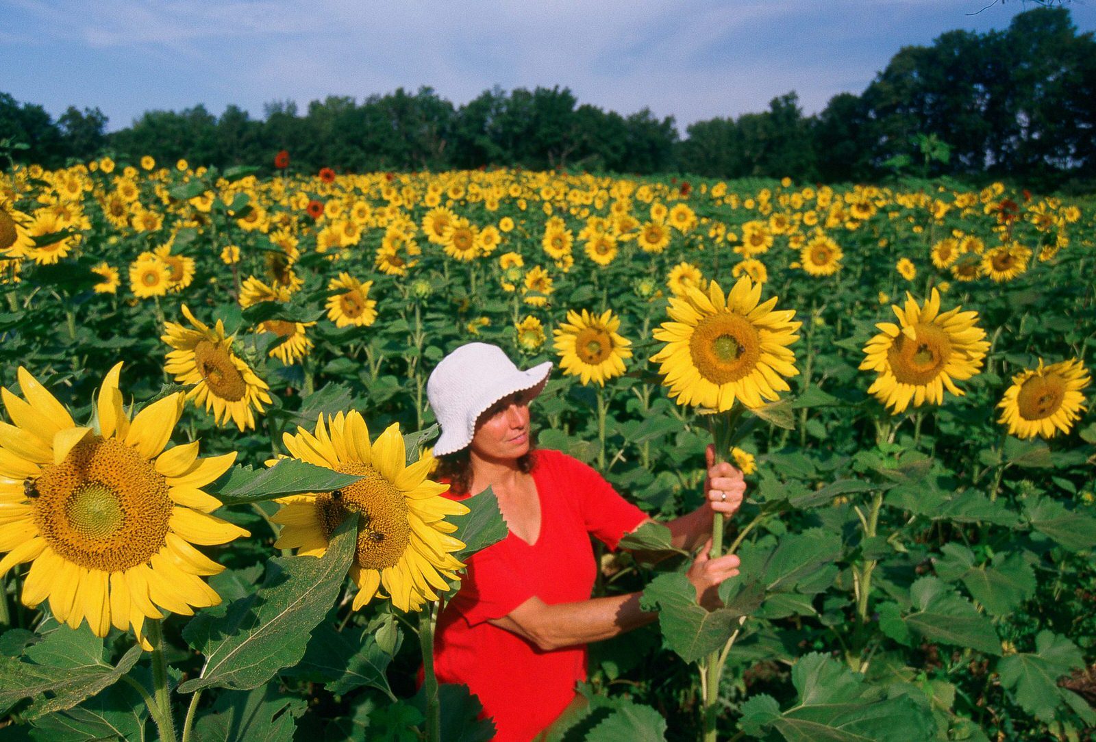 Here Are Photos Shot on the Rebooted Kodak Ektachrome Film | PetaPixel