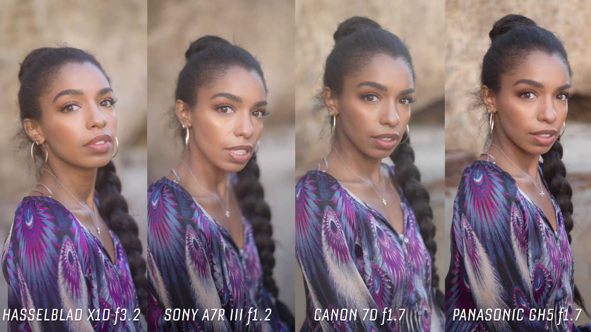 A Comparison of Camera Sensor Sizes in Photography | PetaPixel