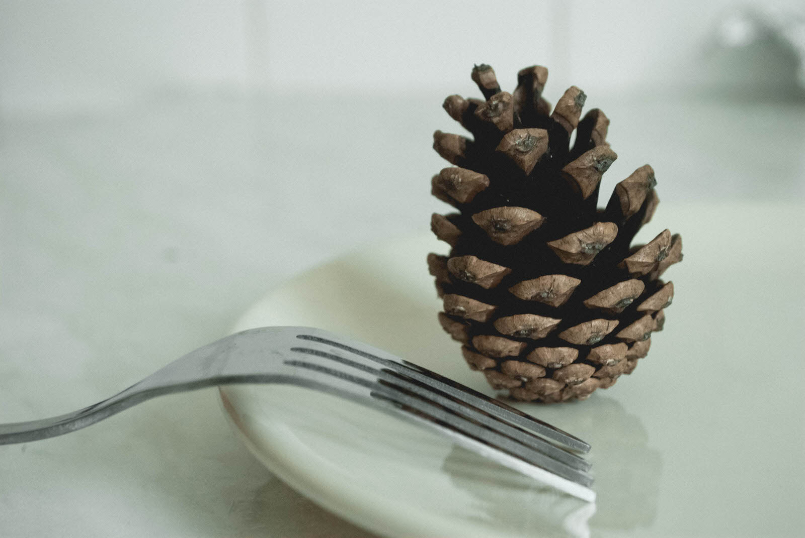 10 Ideas for Taking Amazing Photos of Boring Objects | PetaPixel