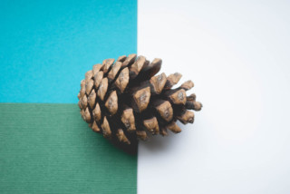 10 Ideas for Taking Amazing Photos of Boring Objects | PetaPixel