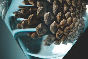 10 Ideas for Taking Amazing Photos of Boring Objects | PetaPixel