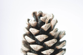 10 Ideas for Taking Amazing Photos of Boring Objects | PetaPixel