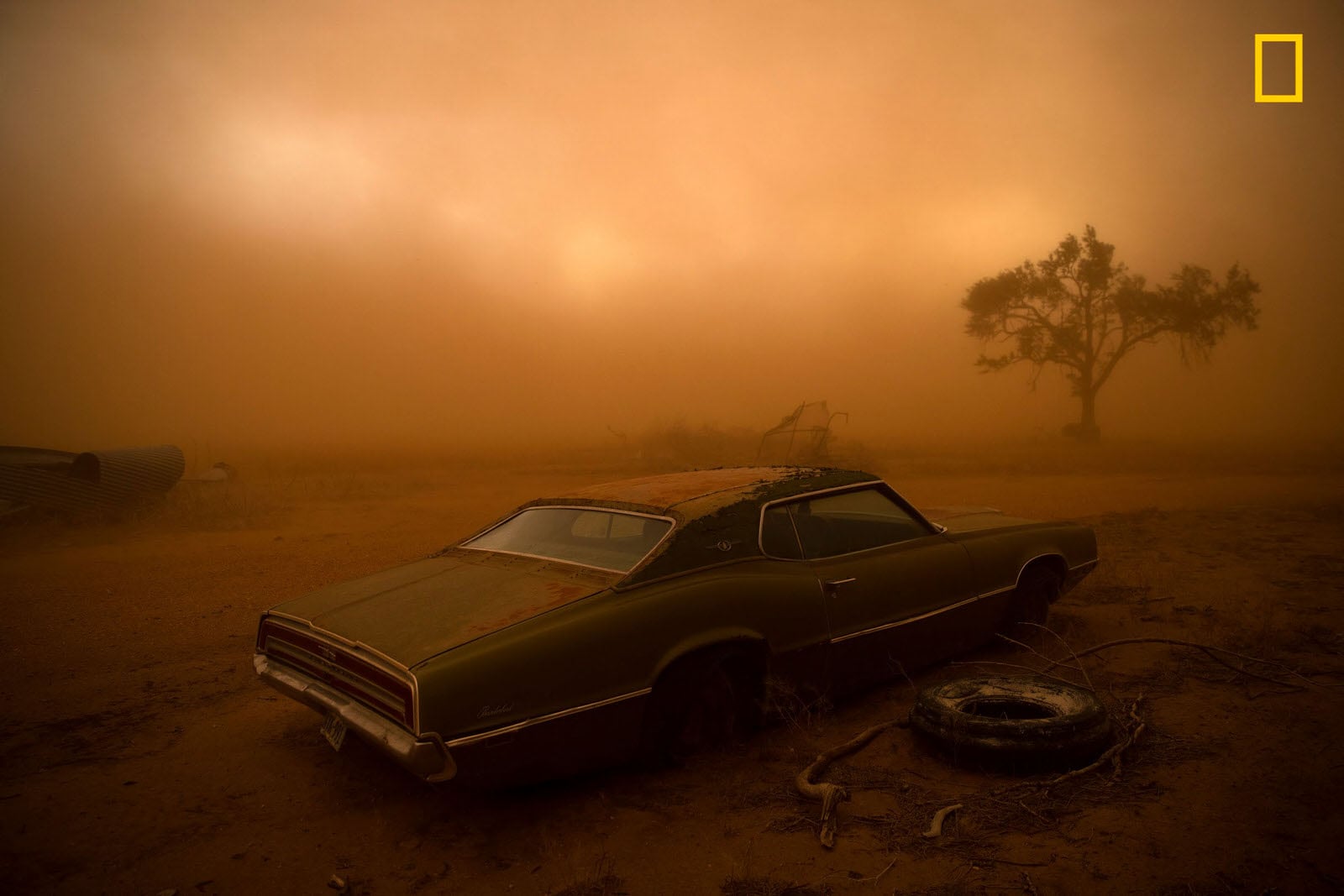 The Winning Photos of the 2018 Nat Geo Photo Contest | PetaPixel