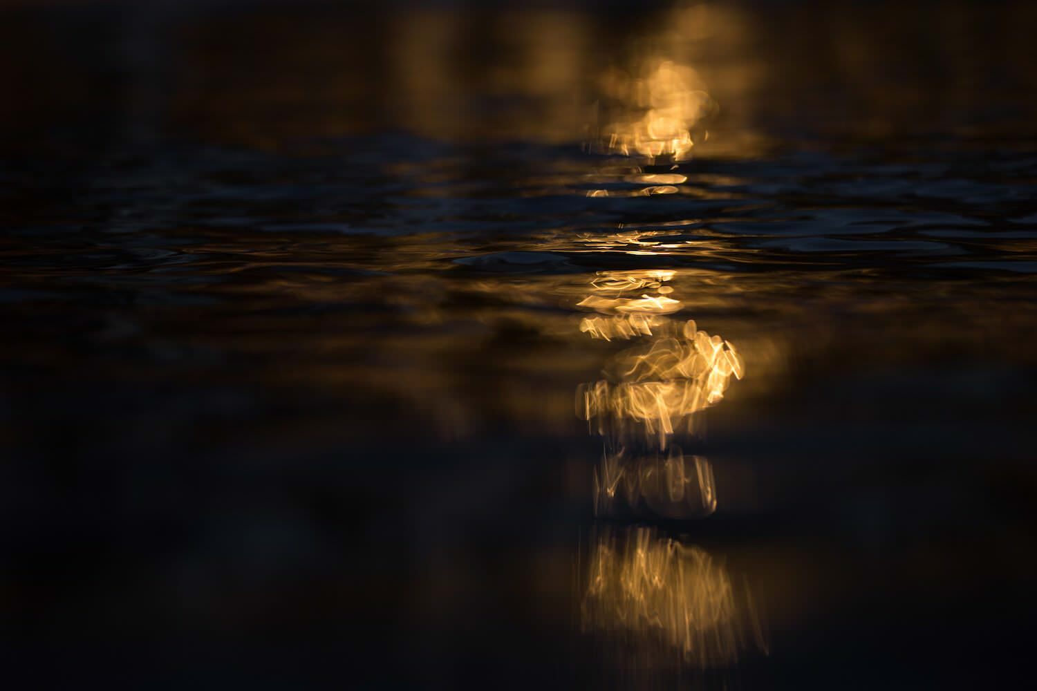 A Guide To Surf Photography: Tips and Techniques | PetaPixel