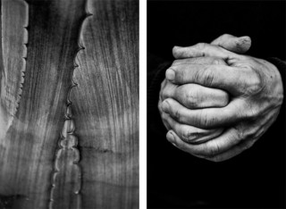 What Parallelism Is and How to Use it to Improve Your Photography ...