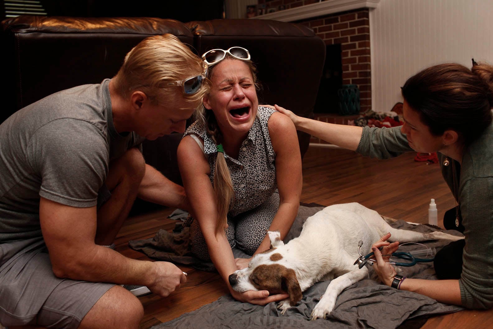Heartbreaking Photos of Pet Owners Saying Goodbye to Their Dying Pets ...