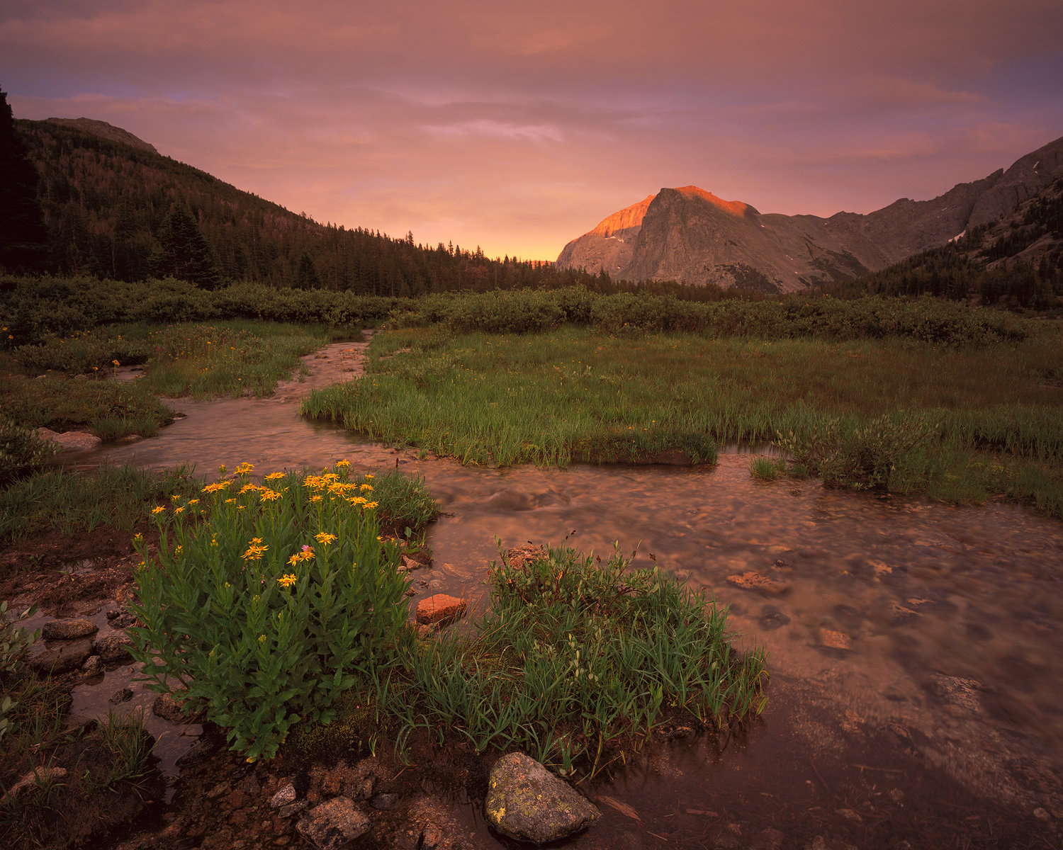 A Digital Landscape Photographer's Introduction to Film | PetaPixel