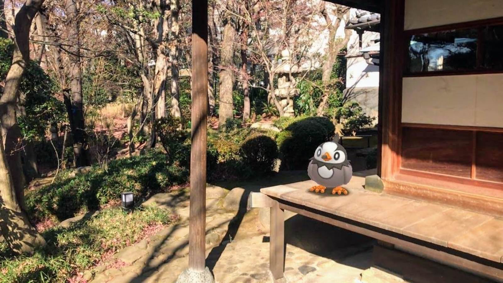 Pokémon GO Adds an AR Camera for Posing Pokémon in the Real World ...