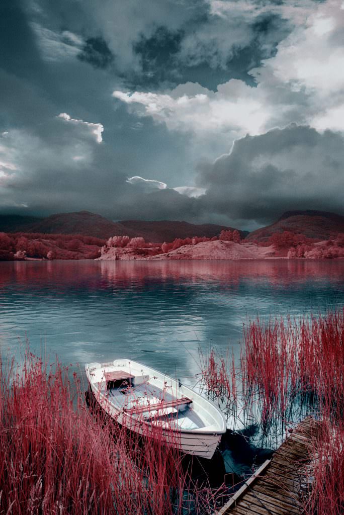 This Lens Filter Faithfully Recreates the Look of Kodak Aerochrome IR ...