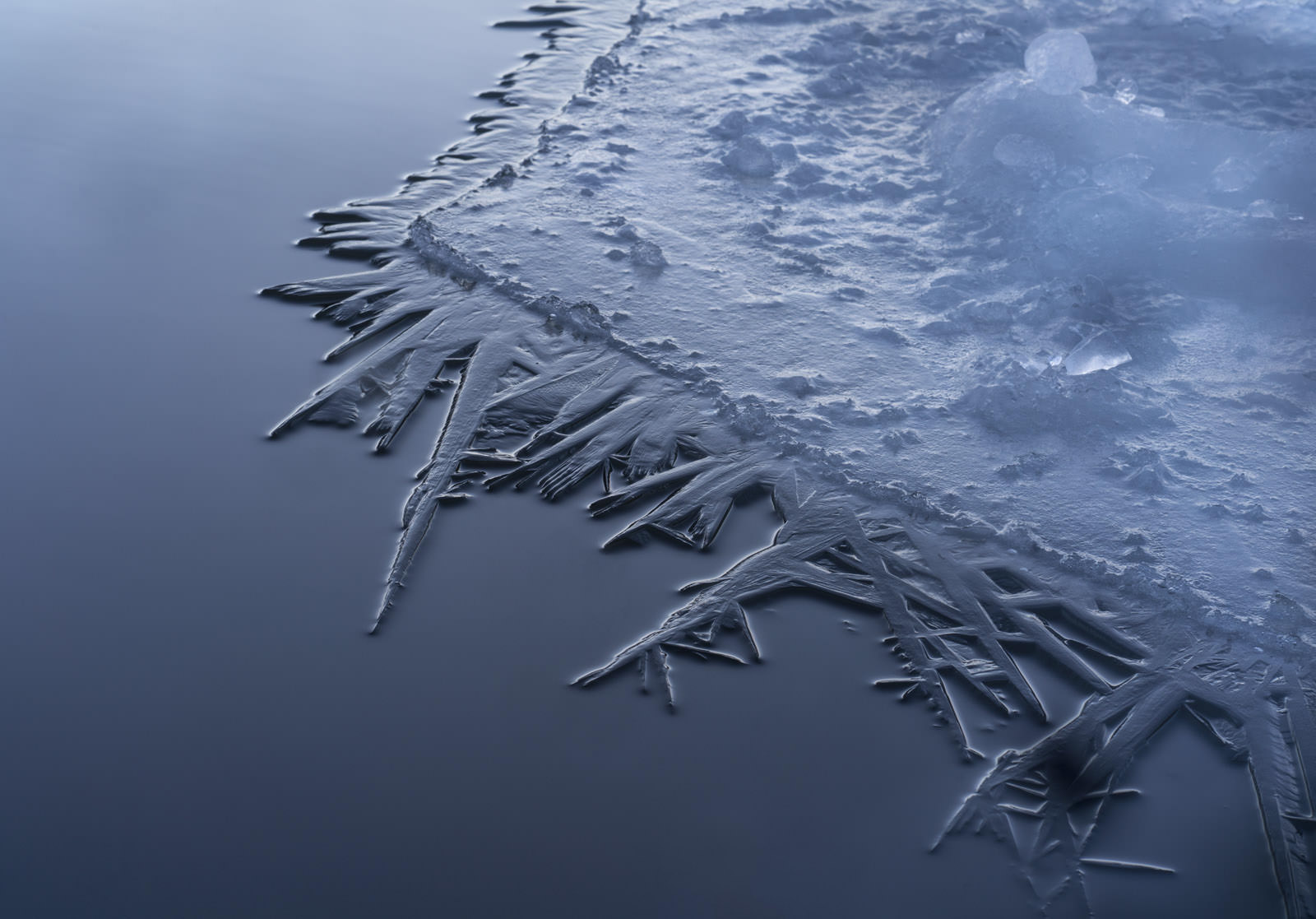 Frozen Living for 34 Days on the Only Private Island in Central ...