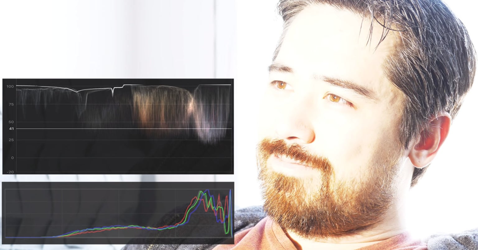 Why Waveforms Beat Histograms and Why Still Cameras Should Use Them ...